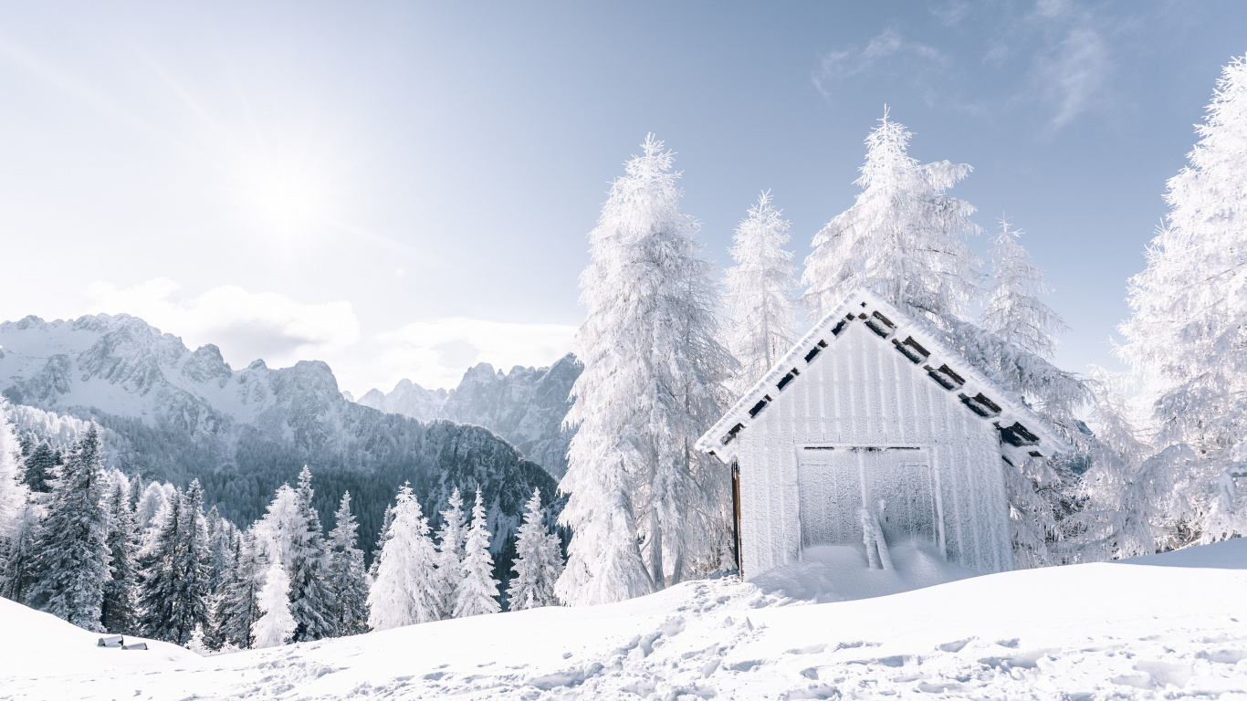 Winter, Landscape, Forest, White Tree, Snowfrost, Hut, - Winter White ...