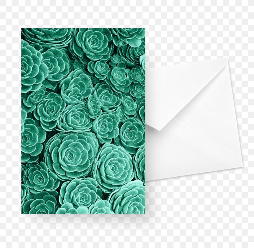 Download Desktop Wallpaper Succulent Plant Lock Screen Wallpaper ...