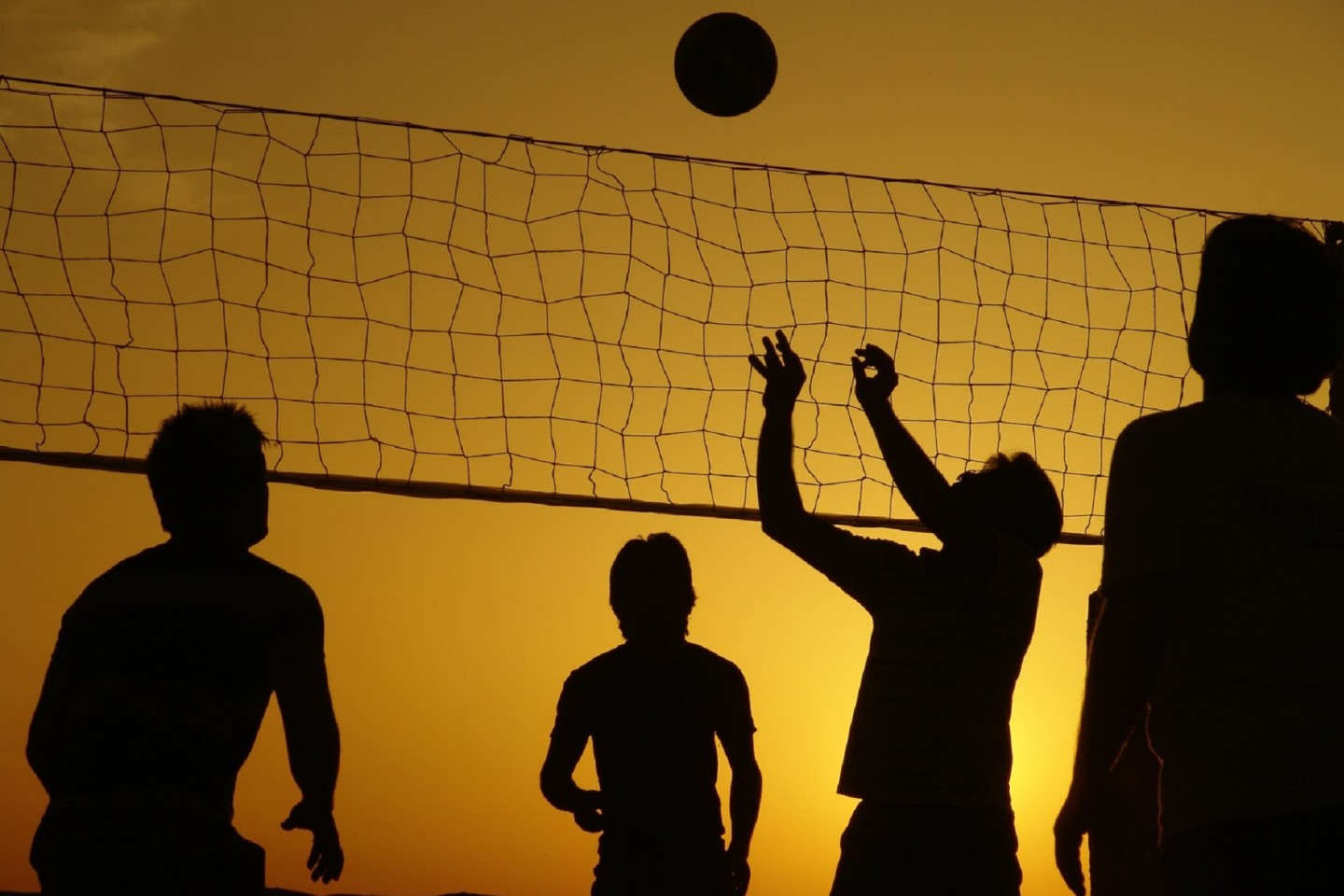 People Playing Volleyball - 1440x960 Wallpaper - teahub.io