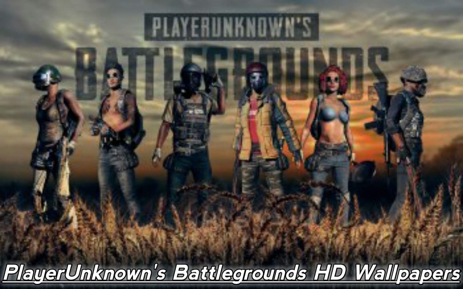 Pubg Heroes - 1600x1001 Wallpaper - teahub.io