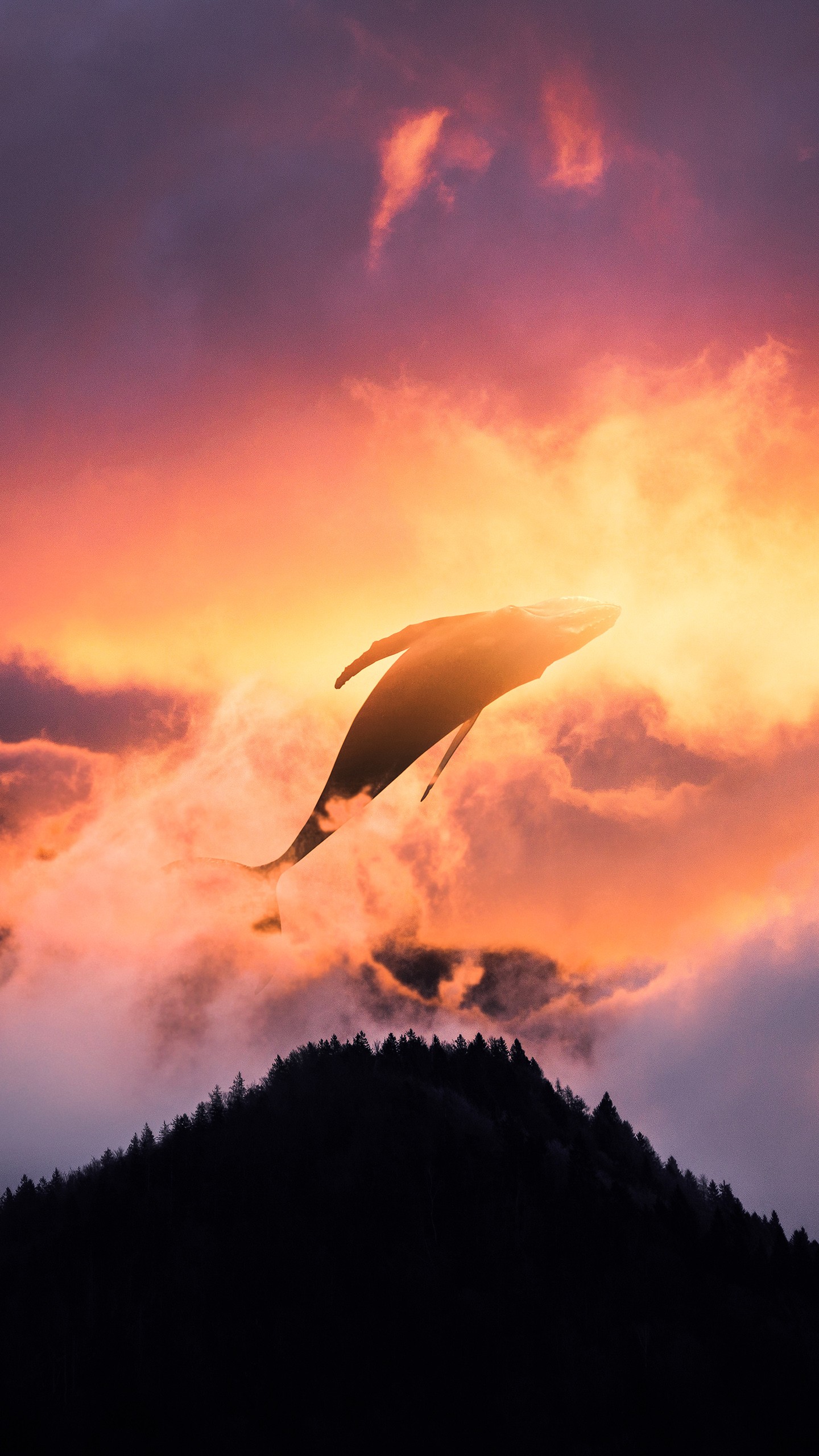 Justin Peters Photography - 1440x2560 Wallpaper - teahub.io