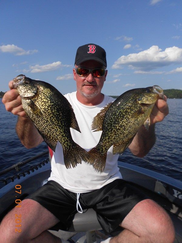 Pull Fish Out Of Water - 600x800 Wallpaper - teahub.io