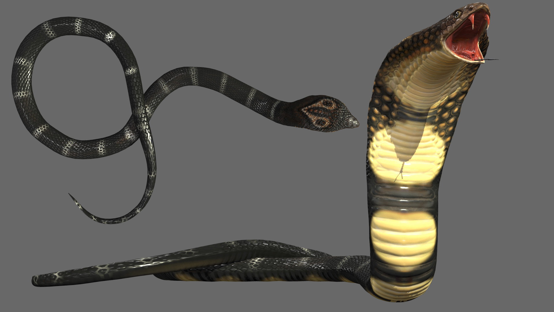 Serpent - 1920x1080 Wallpaper - teahub.io