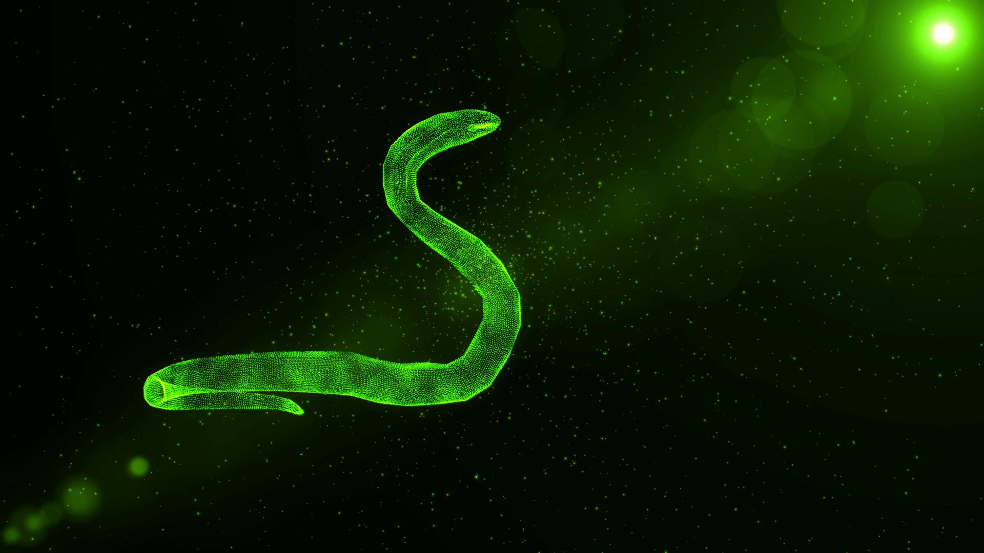 Serpent - 1920x1080 Wallpaper - teahub.io