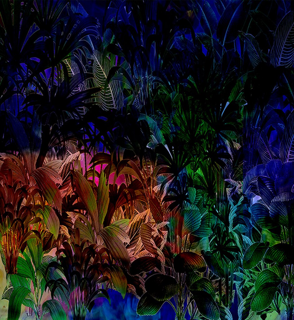 Wallpaper - Jungle Vibe - Hyperbole - Rainforest - 942x1024 Wallpaper ...