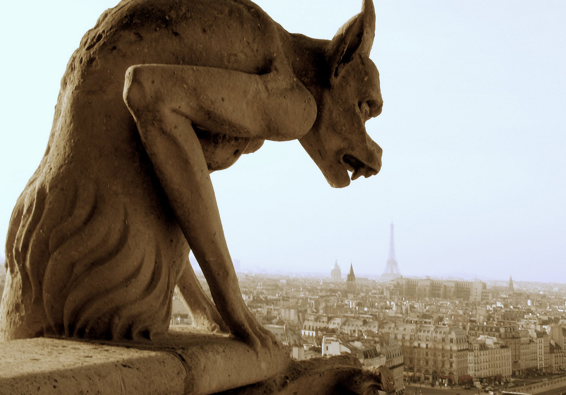 Gargoyle Wallpaper - 1920x1339 Wallpaper - teahub.io
