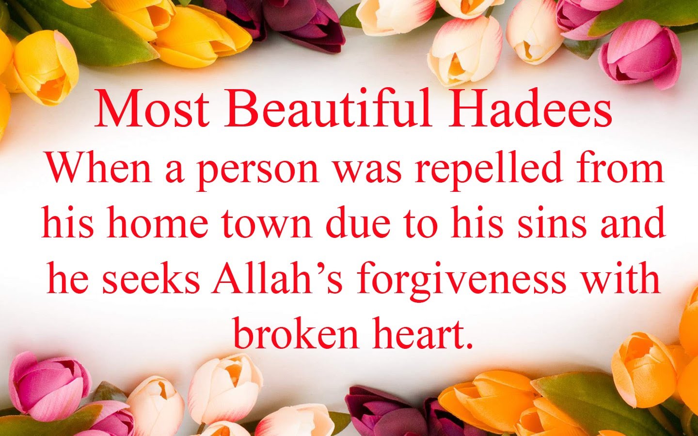 Islamic Nice Quotes - 1440x900 Wallpaper - teahub.io