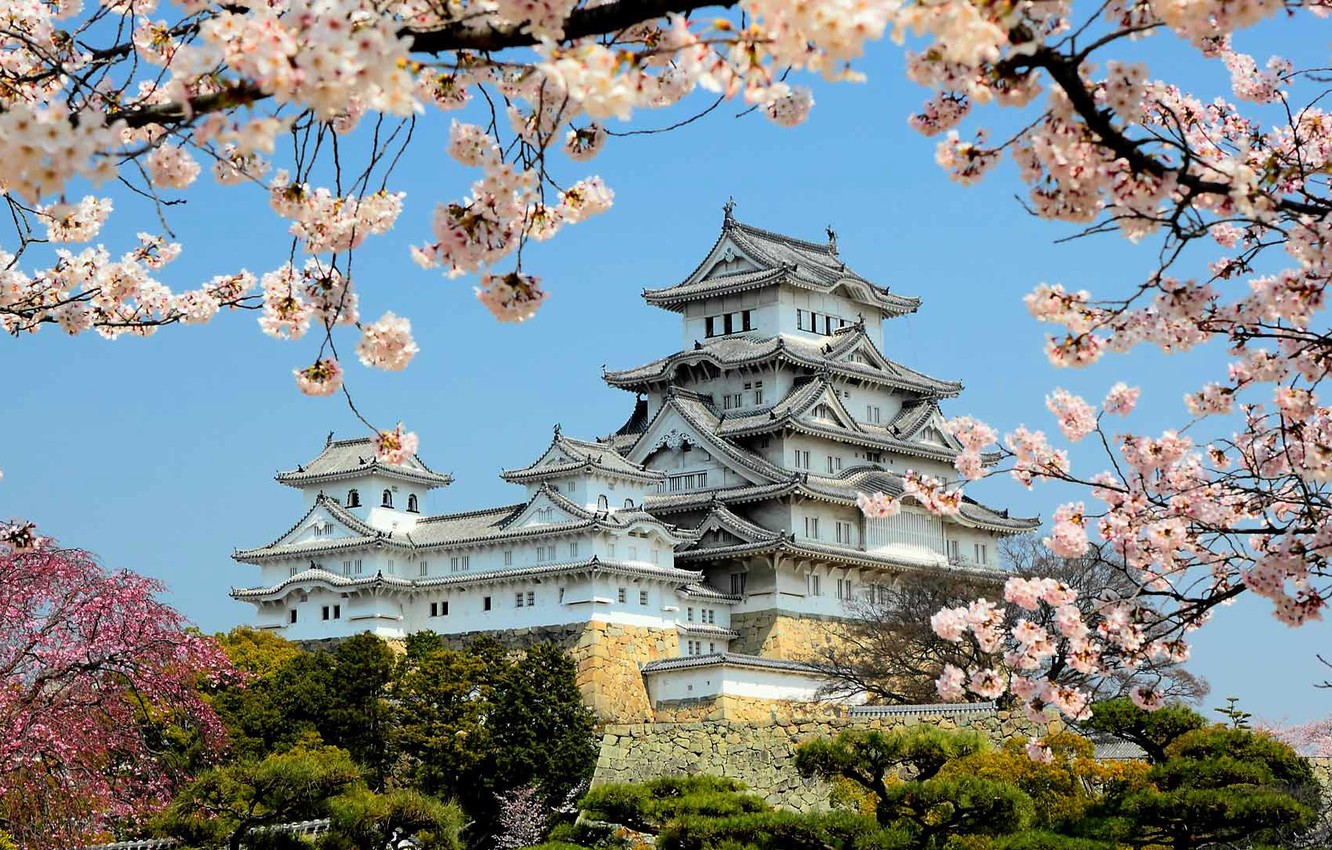 Photo Wallpaper Spring, Japan, Flowering, Himeji Castle - Himeji Castle ...