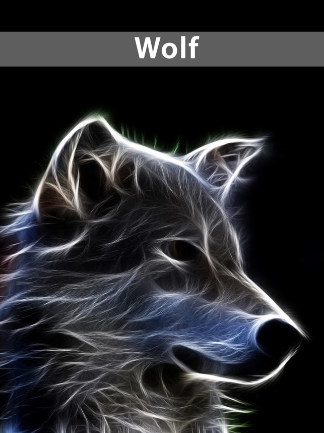 Wolf Avatars - 643x858 Wallpaper - teahub.io