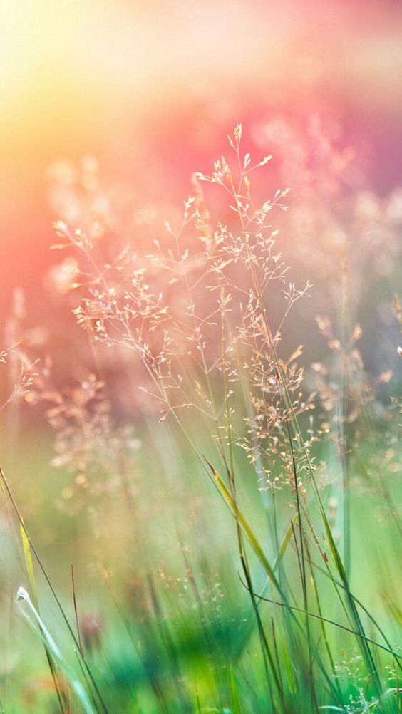 Download Simple Wallpapers For Mobile Phones - Teahub.io