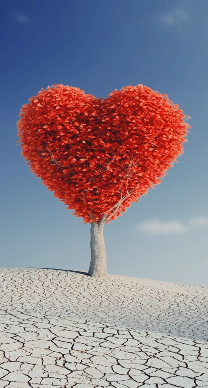 Download Kalp Ağaç - Teahub.io