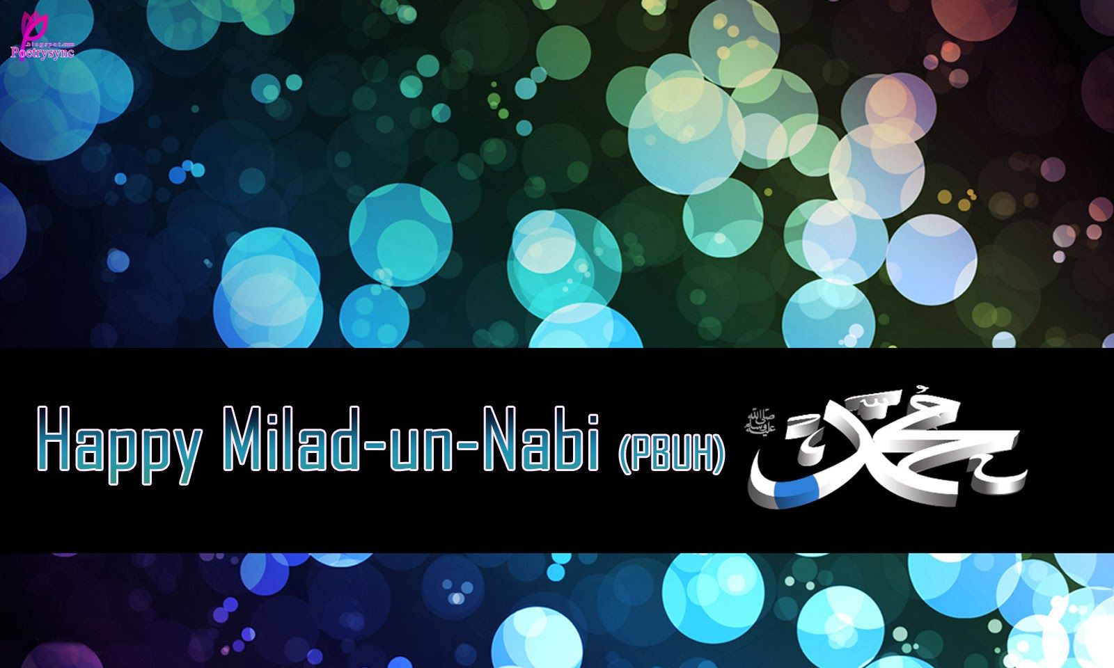 Mustafa Wallpaper - 1600x960 Wallpaper - teahub.io