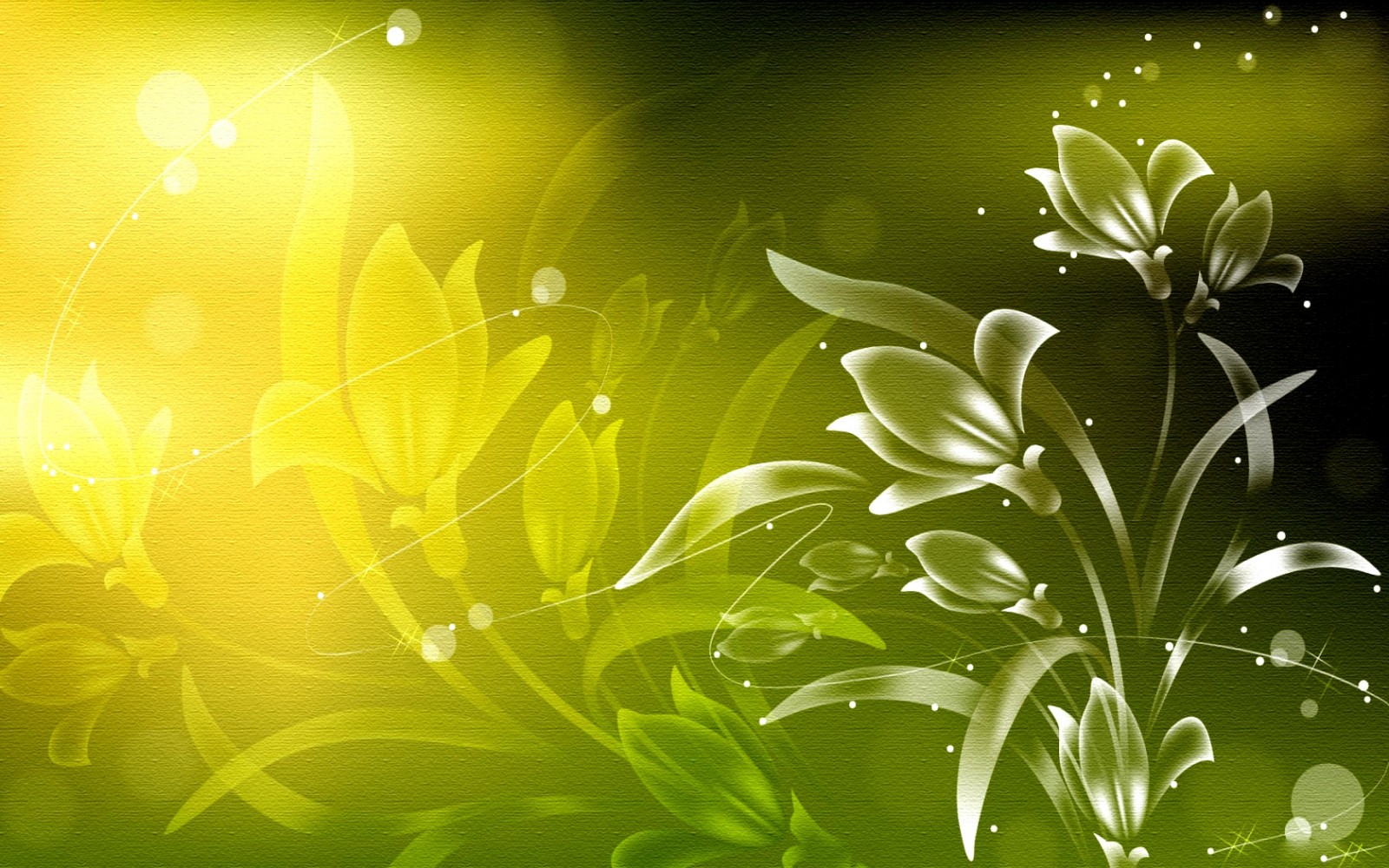 Hd Background Wallpaper - Fine Background - 1600x1000 Wallpaper - teahub.io