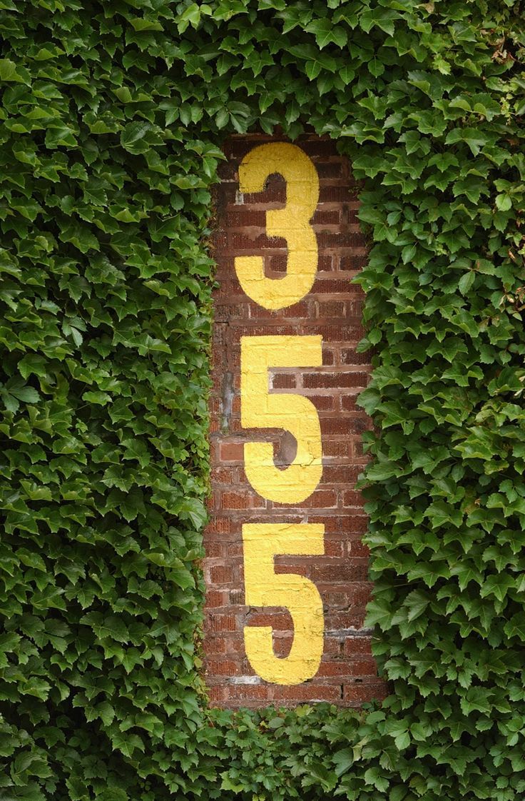 Ivy Wrigley Field Brick Wall - 736x1122 Wallpaper - teahub.io