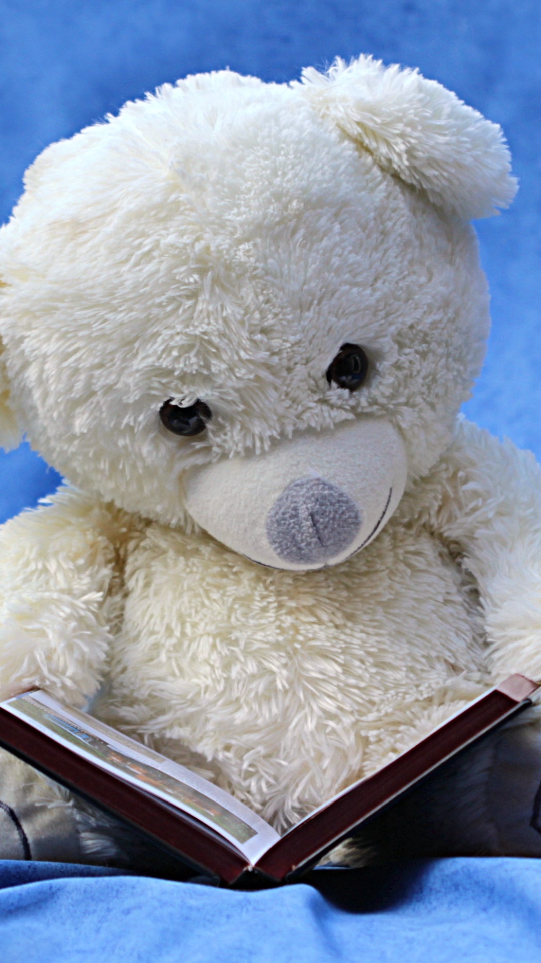Blue Teddy Bear Reading - 1080x1920 Wallpaper - teahub.io