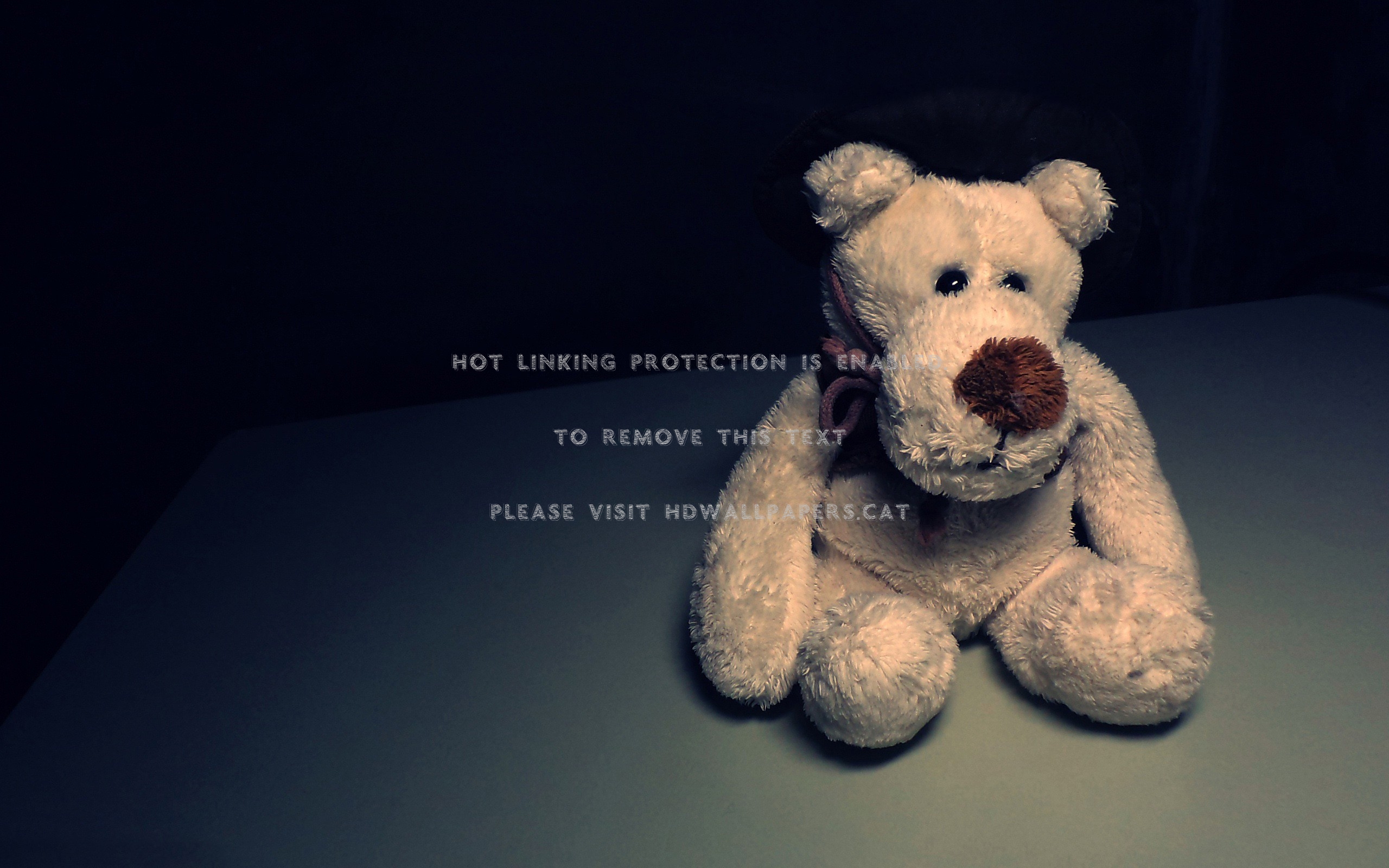Jerry Bear Sad Teddy Animals - 2560x1600 Wallpaper - teahub.io