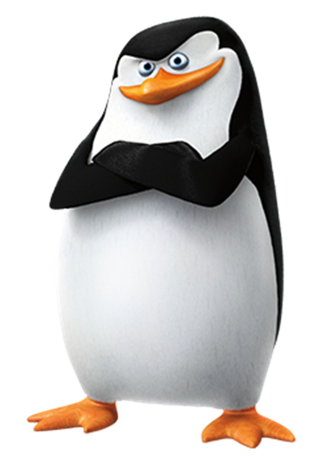 Penguin Png Skipper - 1077x1502 Wallpaper - teahub.io
