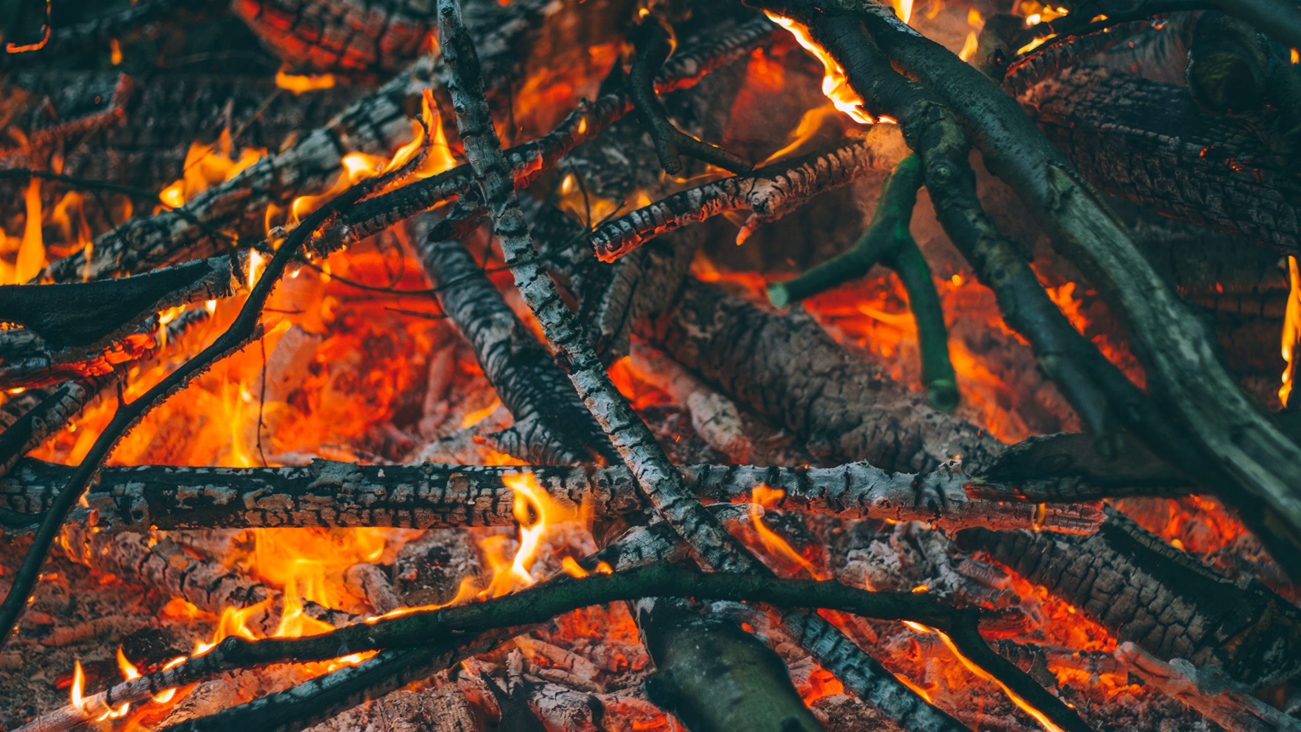 Ember Fire - 2560x1440 Wallpaper - teahub.io
