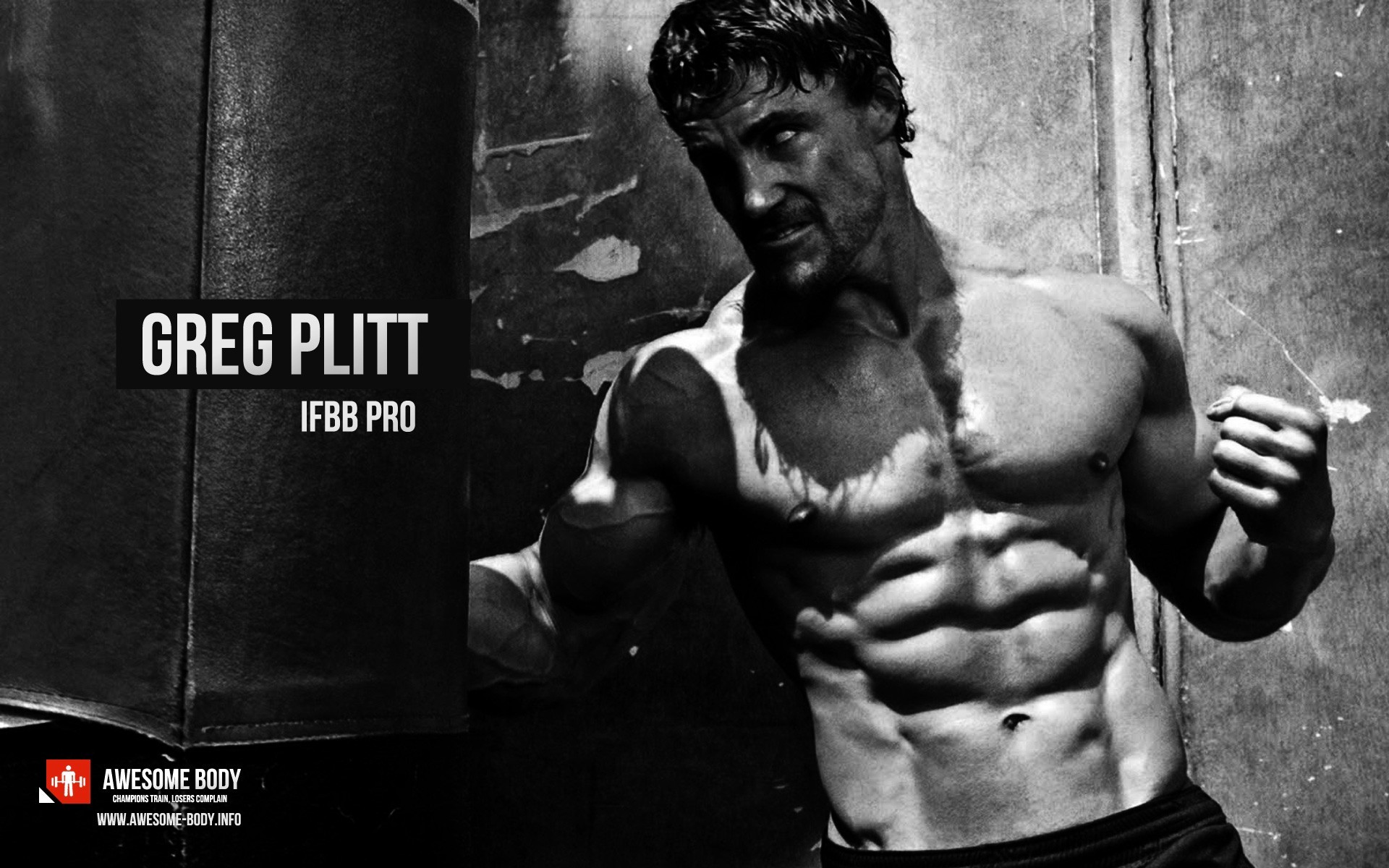 Gym Workout Hd Wallpapers - Greg Plitt - 1600x1000 Wallpaper - teahub.io