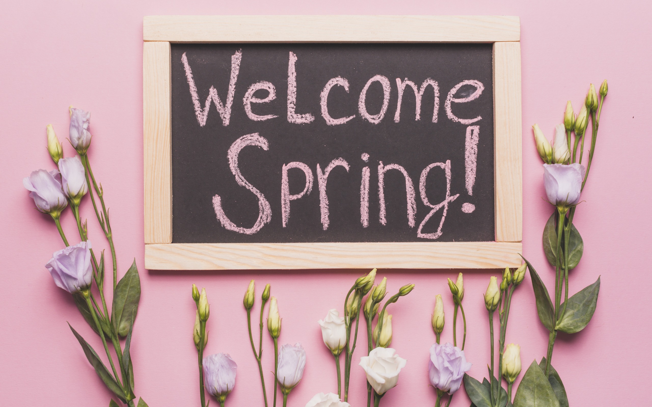 Welcome Spring, Pink Flowers, Wooden Board, Eustoma, - Welcome Spring ...