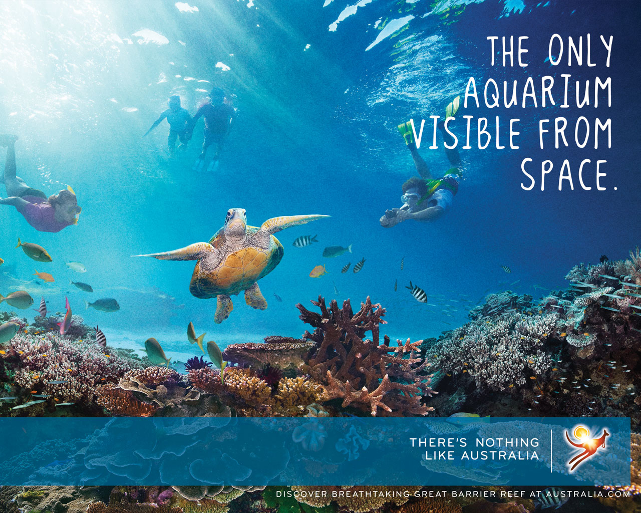 Rottnest Island Coral Reefs - 1280x1024 Wallpaper - teahub.io