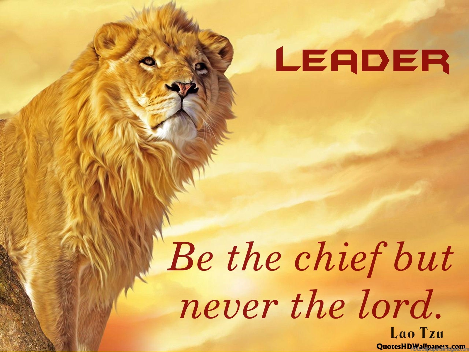 Leadership Wallpaper - 1600x1200 Wallpaper - teahub.io