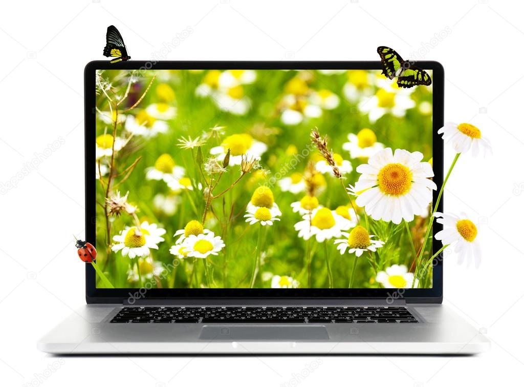 Netbook - 1024x755 Wallpaper - teahub.io