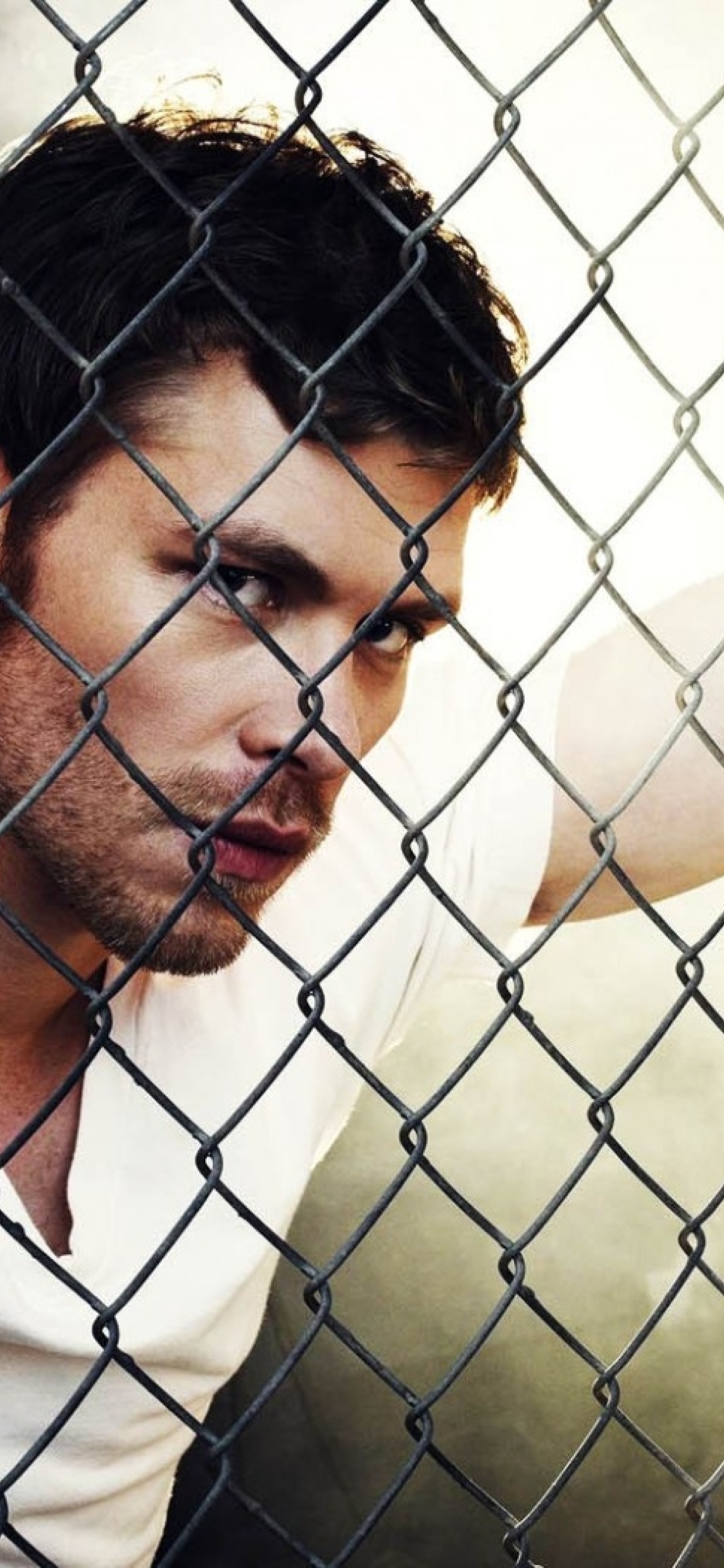 Originals Joseph Morgan 4k - 1242x2688 Wallpaper - teahub.io