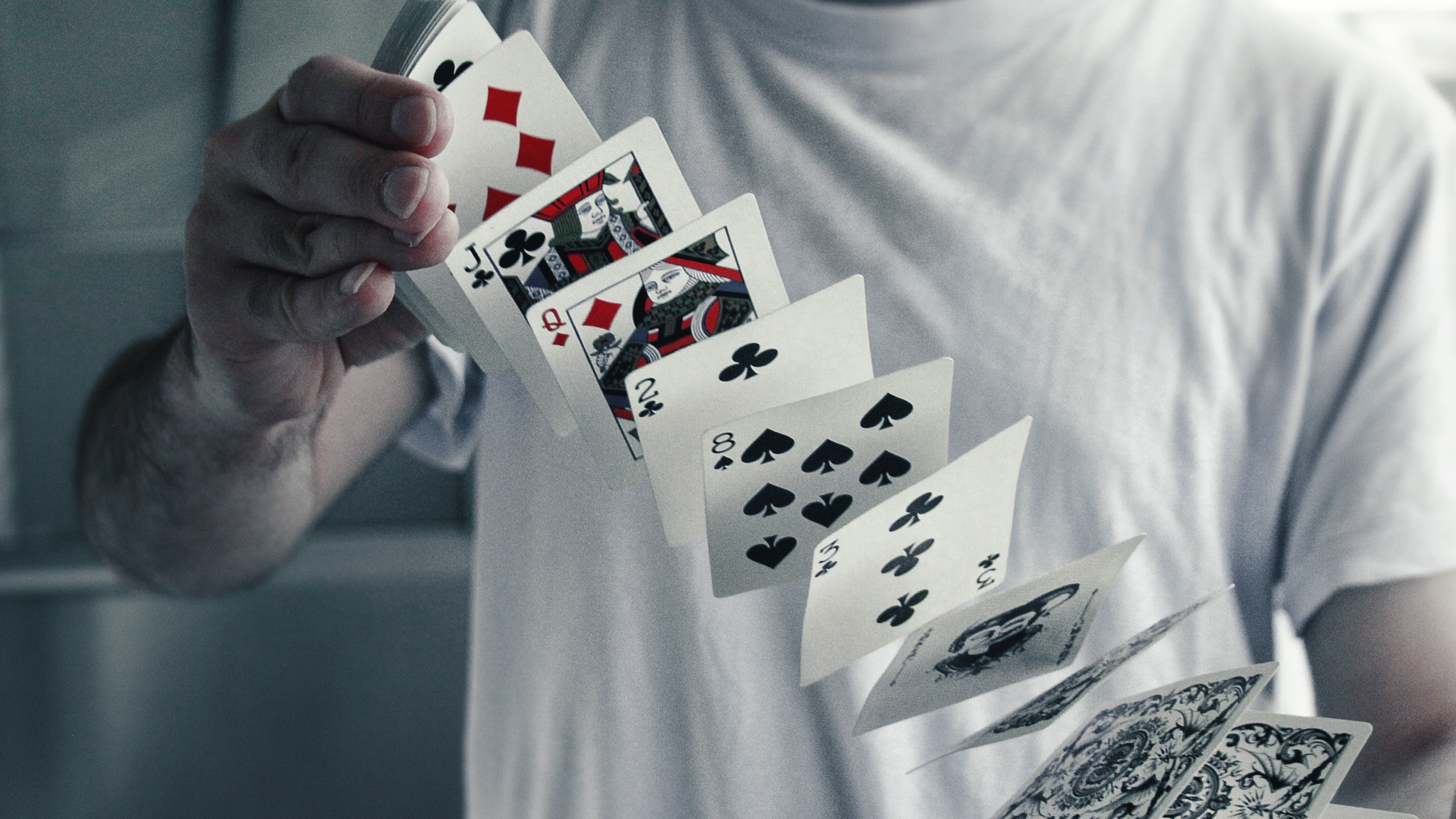 Card Flourish - 2560x1440 Wallpaper - teahub.io