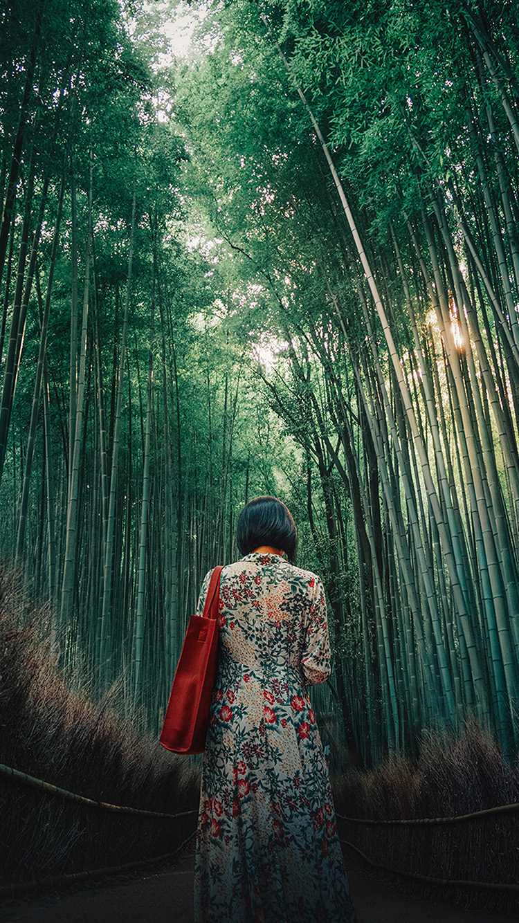 Com Apple Iphone7 Iphone7plus Wallpaper Bi22 Forest Bamboo Iphone