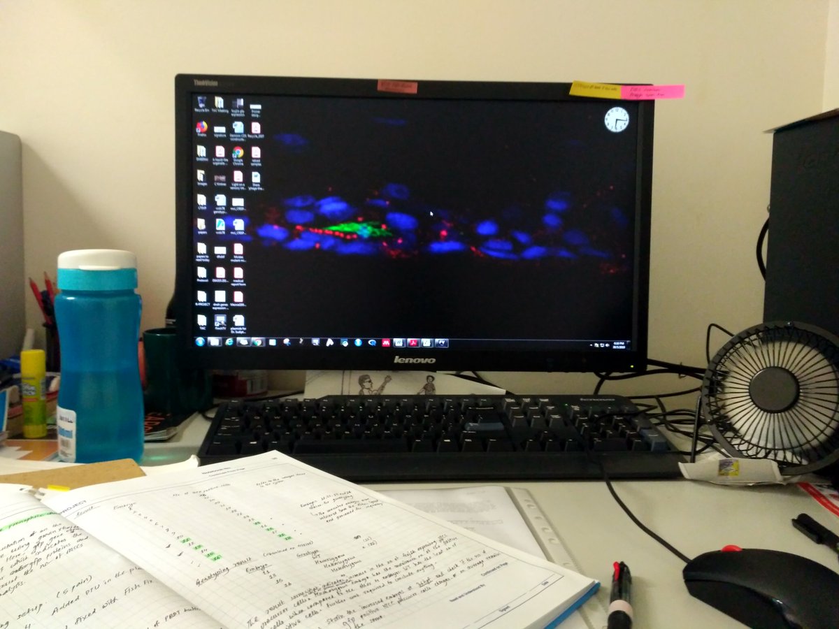 Led-backlit Lcd Display - 1200x900 Wallpaper - teahub.io