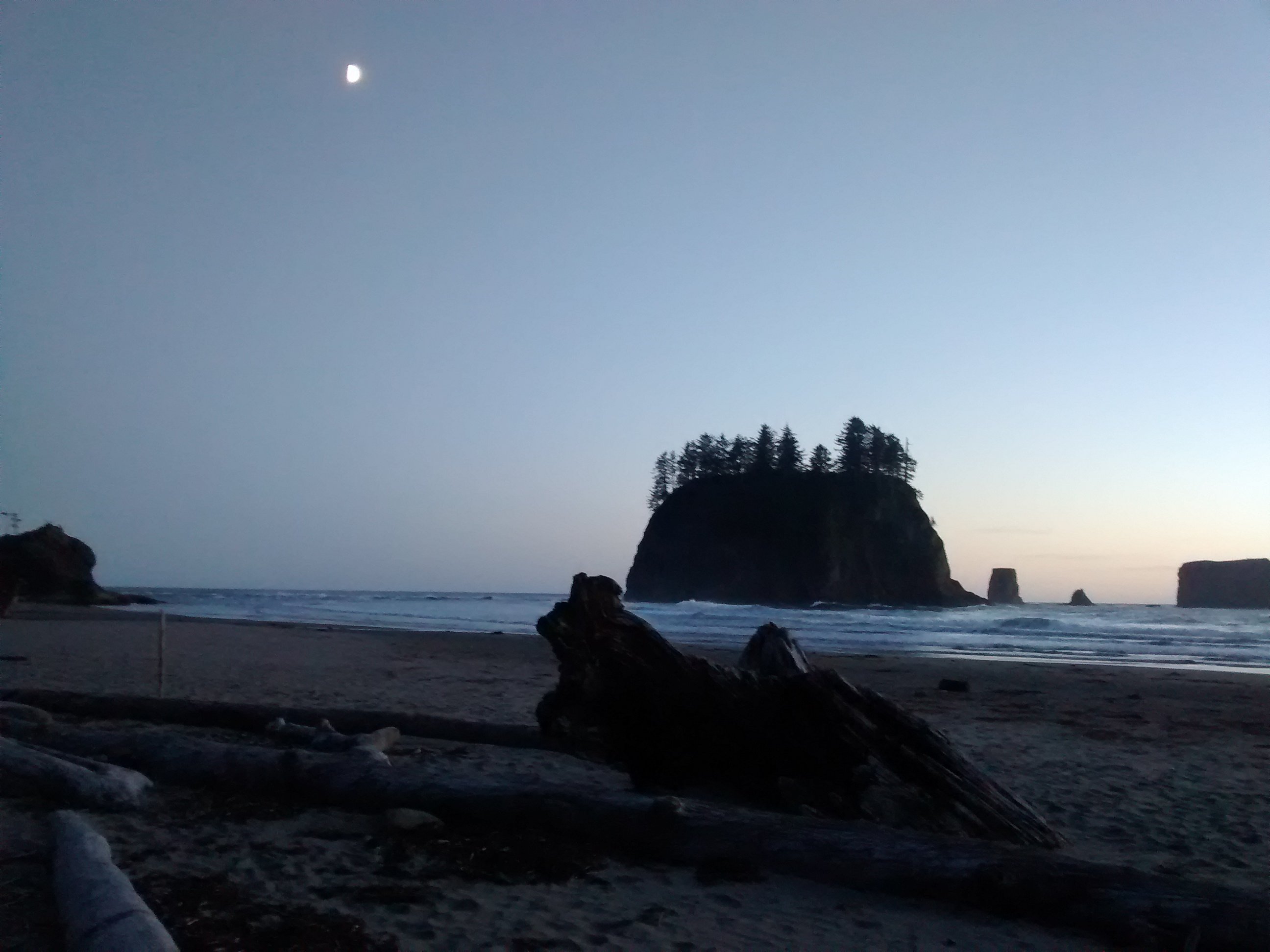 Second Beach Coastal Washington State Wallpaper - Olympic National Park ...