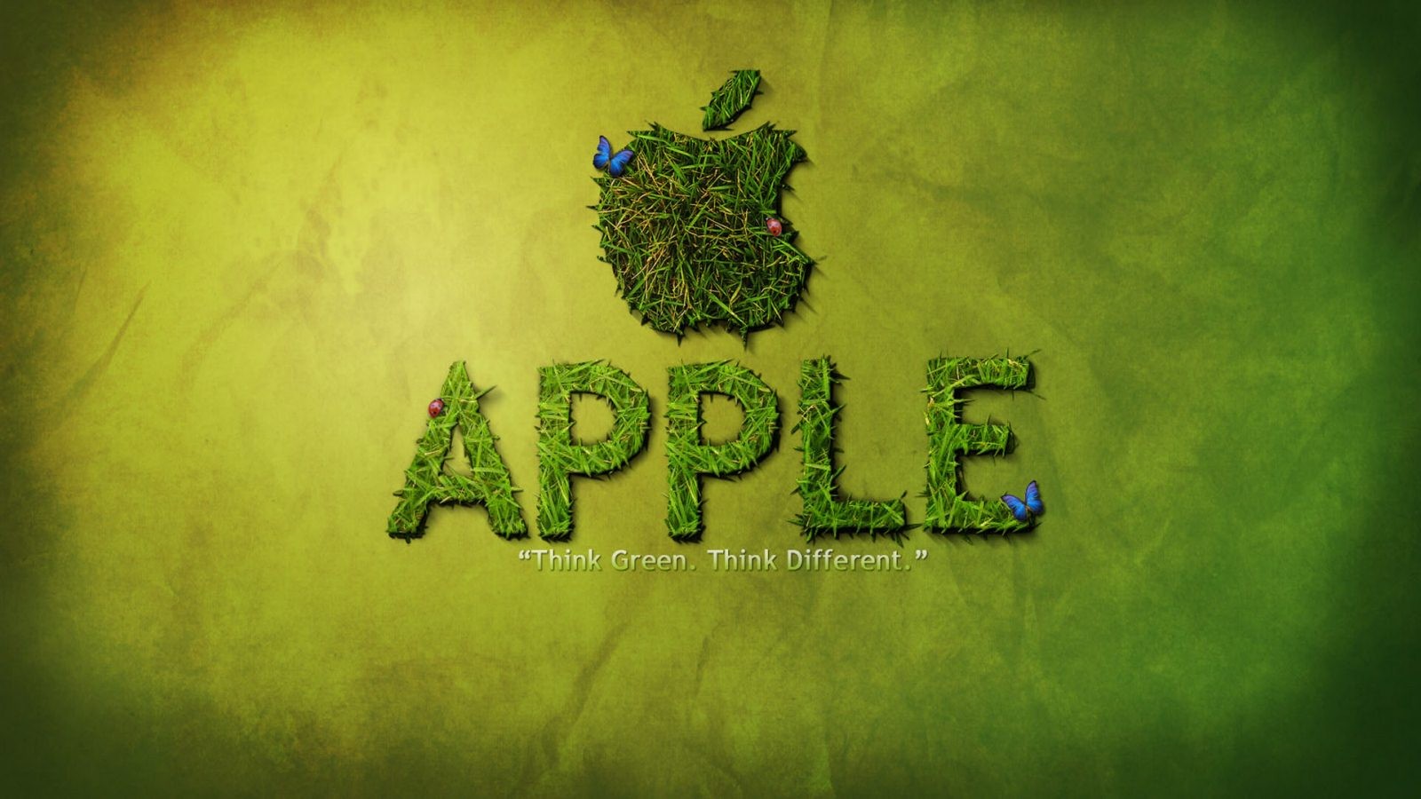 Apple Name Wallpaper Hd - 1600x900 Wallpaper - teahub.io