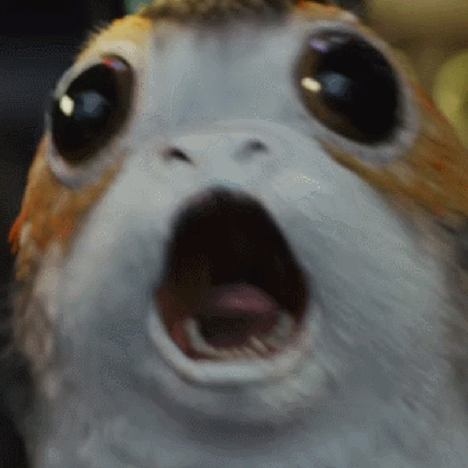 Porg Happy Birthday Meme - 915x915 Wallpaper - teahub.io