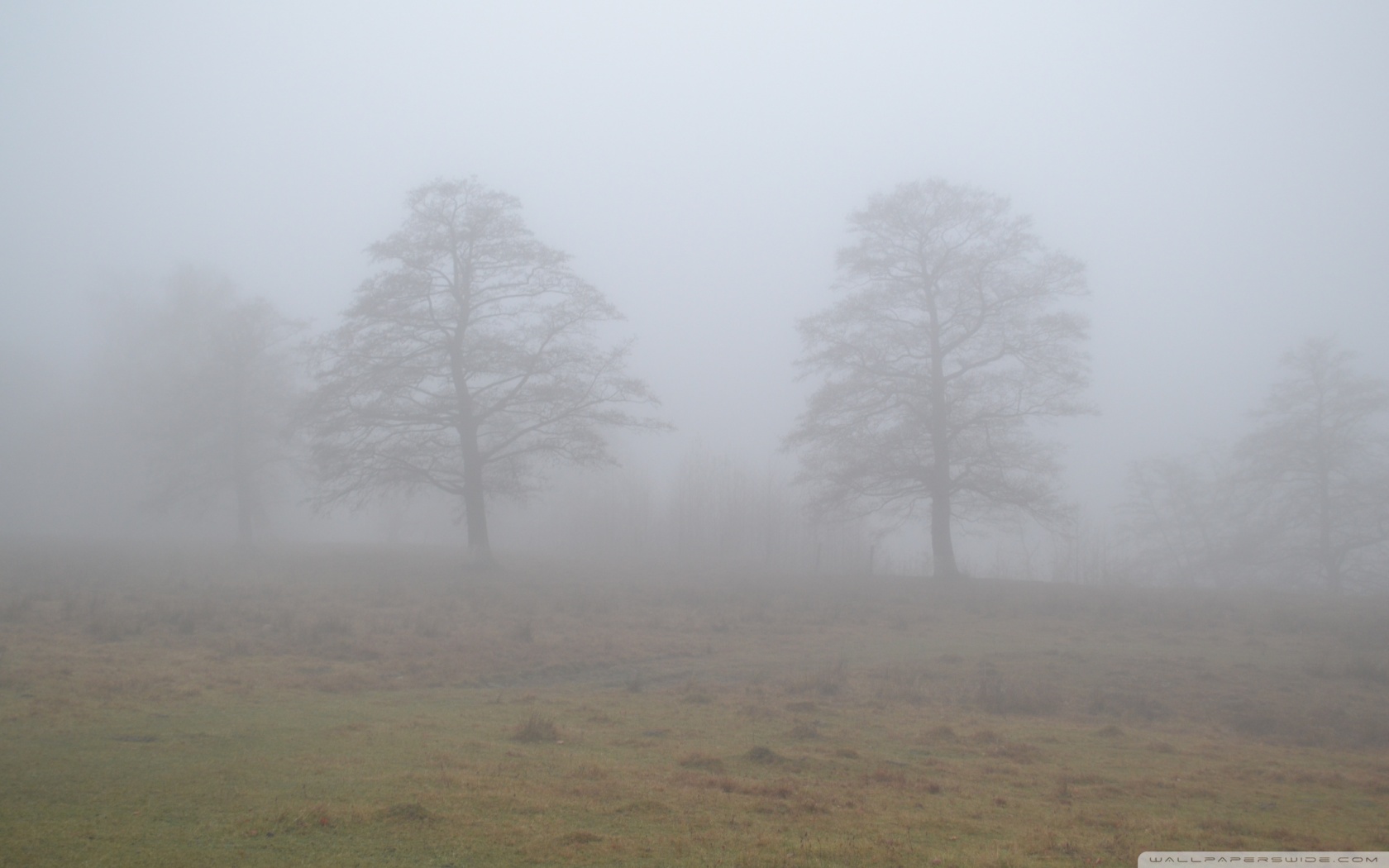 Mist - 1680x1050 Wallpaper - teahub.io