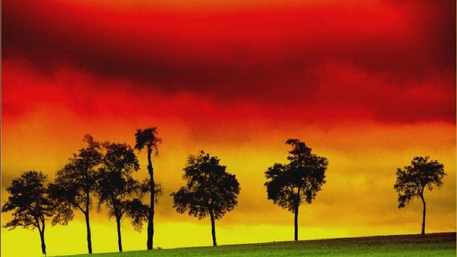 Reggae Wallpaper - - No Cocaíne Slightly Stoopid - 1920x1080 Wallpaper ...