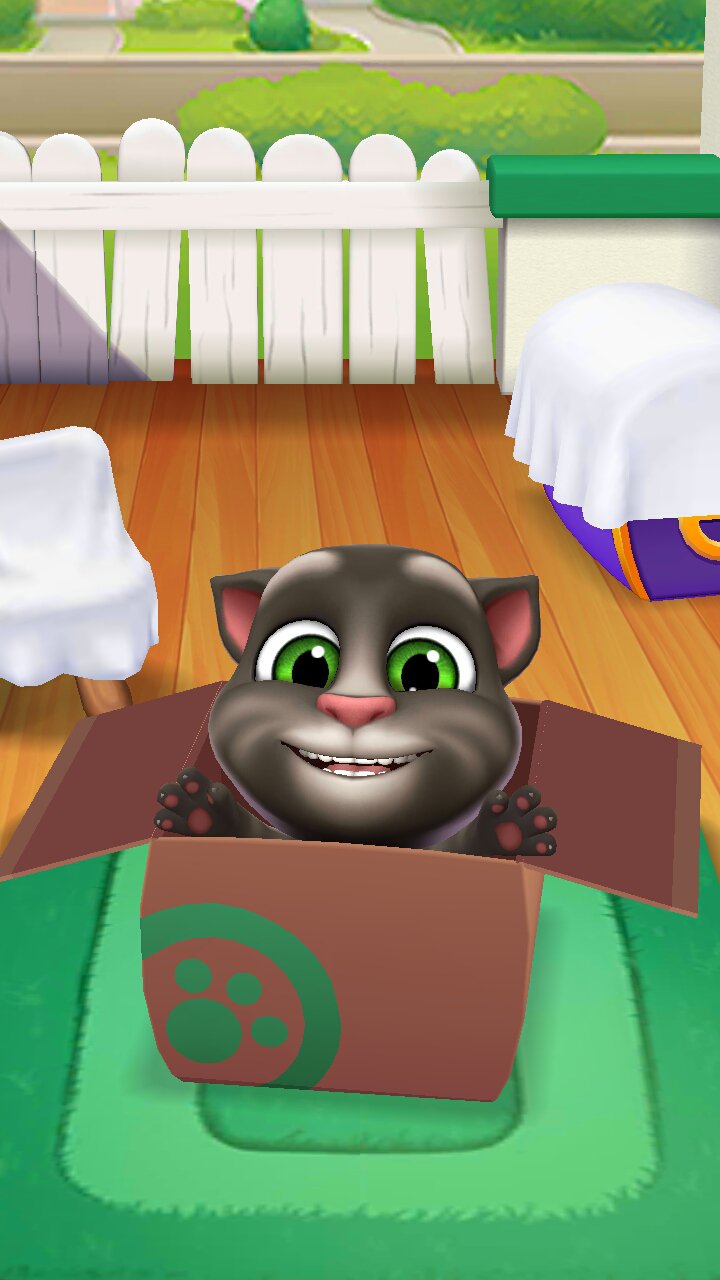 My Talking Tom 2 Image 1 Thumbnail - Talking Tom Hd - 720x1280 ...