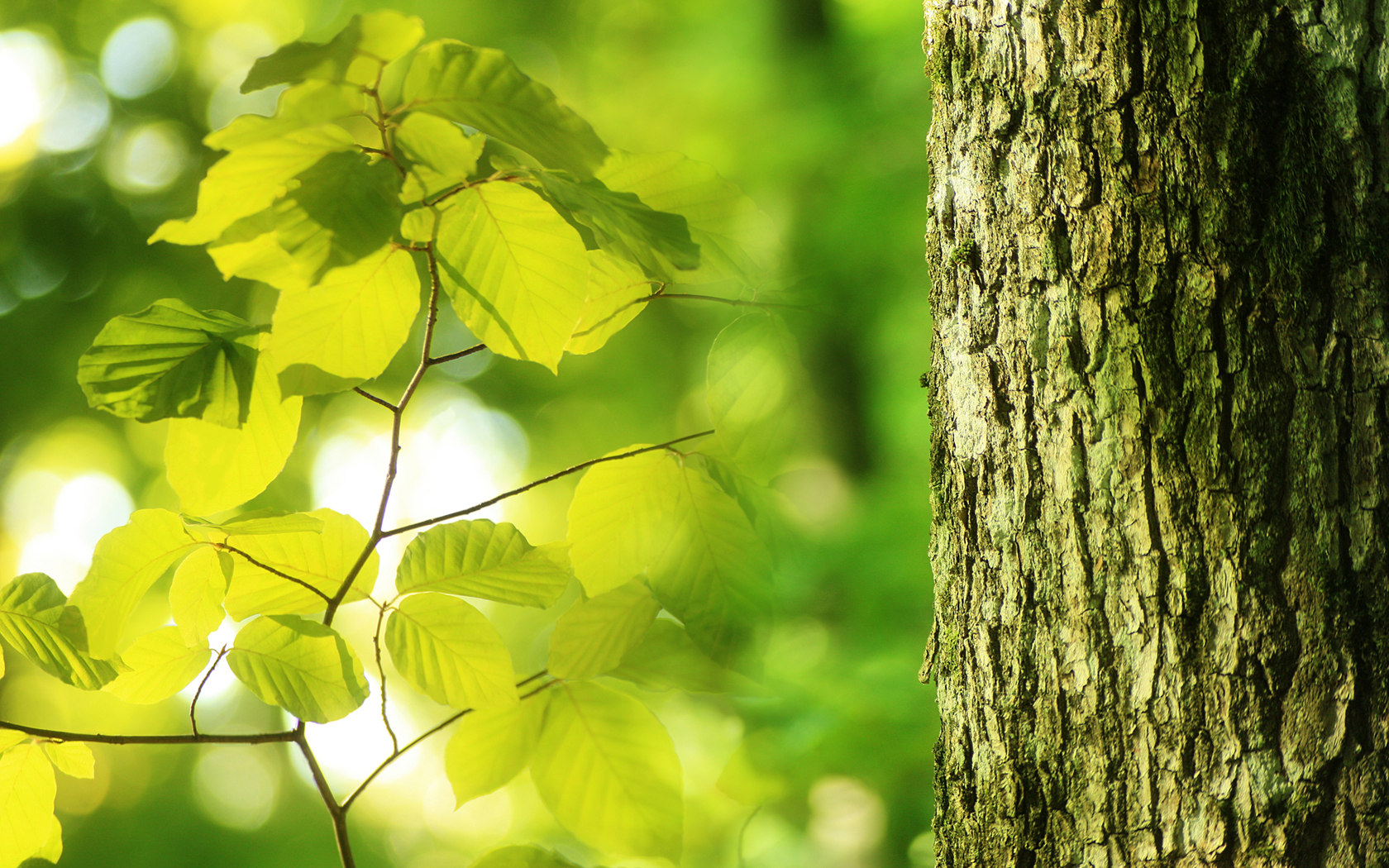 Dark Prairie Wallpaper - New Scenery Photo Hd - 1680x1050 Wallpaper ...