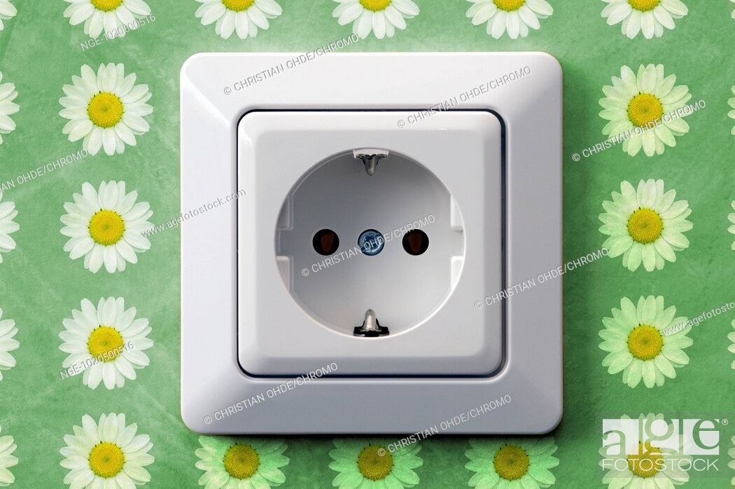 Download Power Socket And Wallpaper With Daisies, Green Electricity ...
