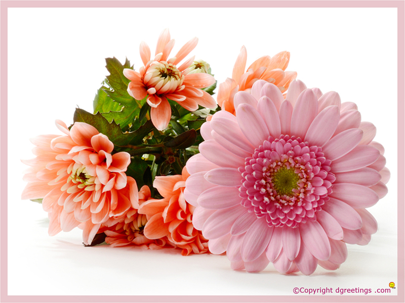Bright Flower Wallpaper - 800x600 Wallpaper - teahub.io