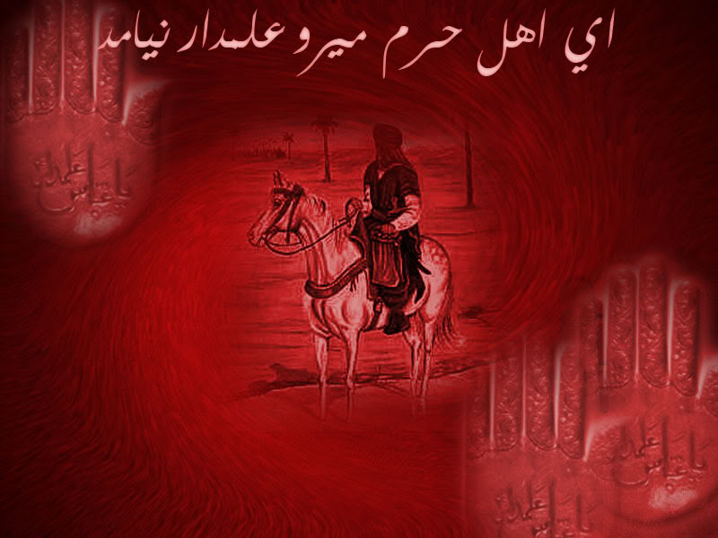 Mane - 800x600 Wallpaper - teahub.io