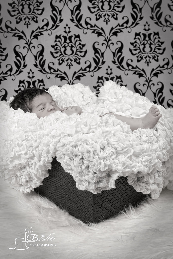 Bob Cornish Photography - 683x1024 Wallpaper - teahub.io