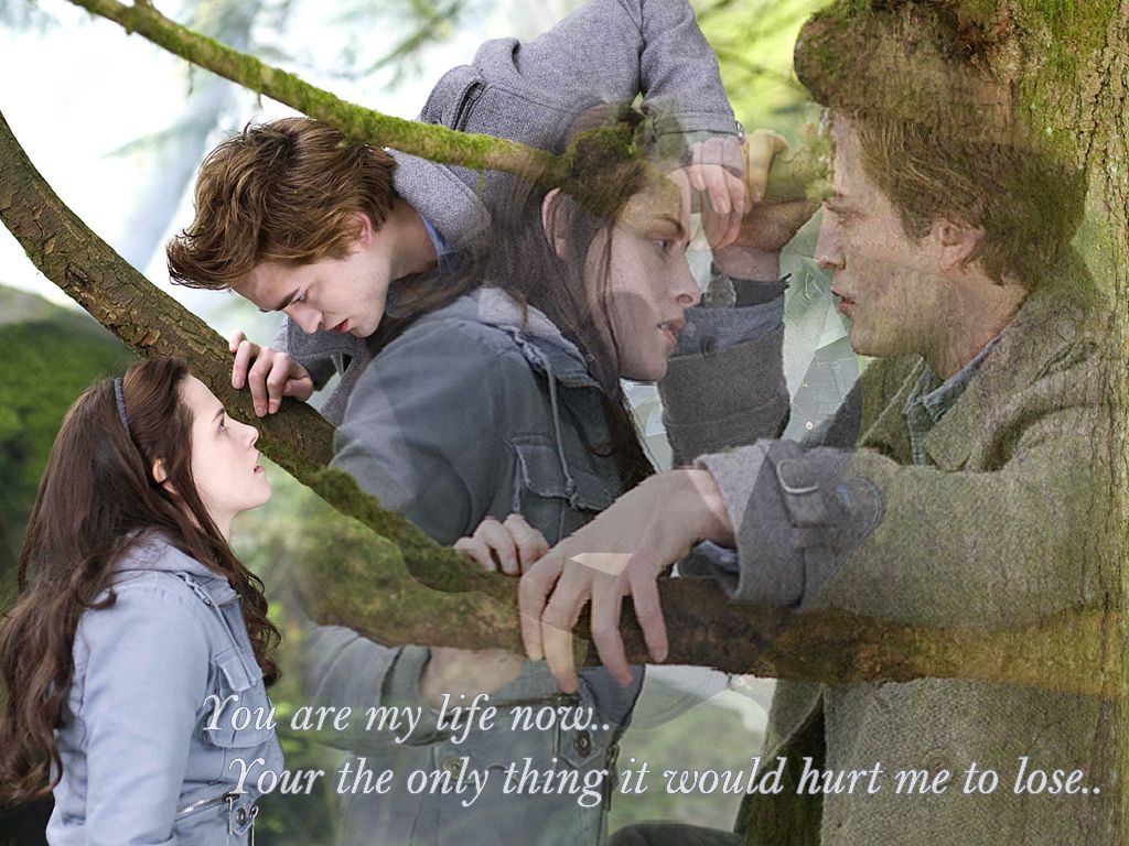 Twilight Edward And Bella On The Tree - 1024x768 Wallpaper - teahub.io