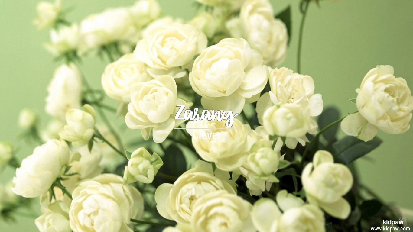 Zara Name Wallpaper - Sandip Name Meaning - 1366x768 Wallpaper - teahub.io