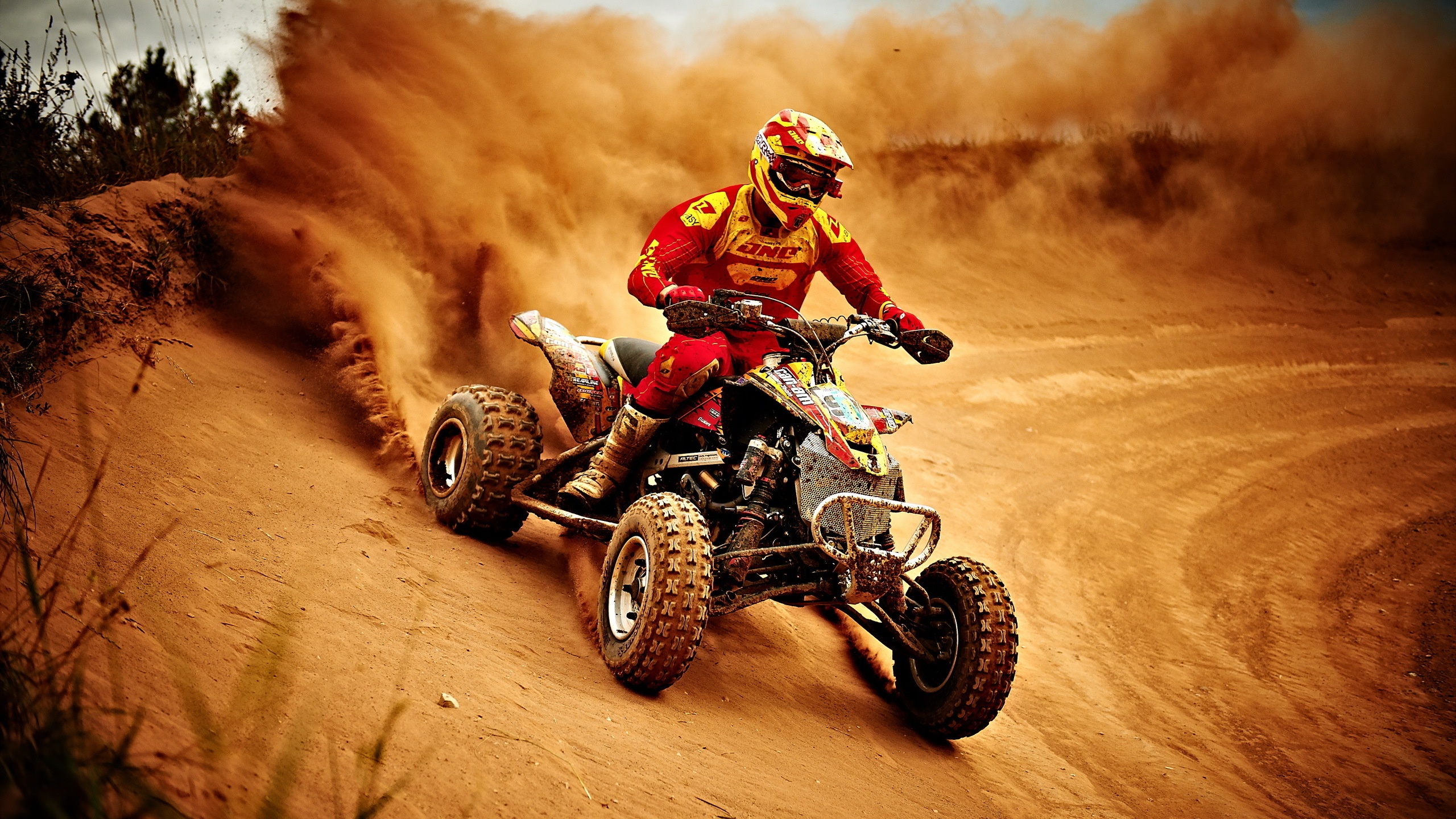 Quad Racing - 2560x1440 Wallpaper - teahub.io