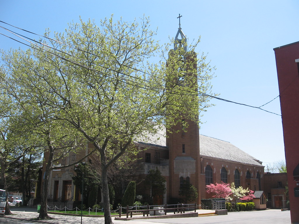 Tree - 1024x768 Wallpaper - teahub.io