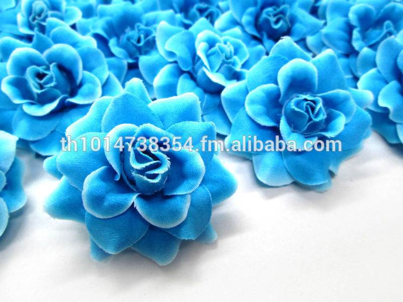 Rose Blue Diamond - 800x600 Wallpaper - teahub.io