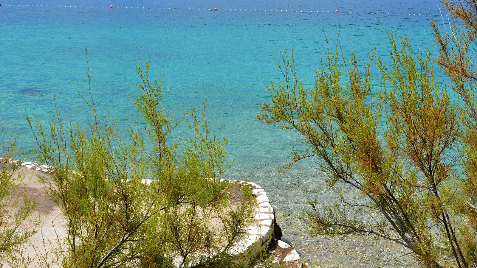 Bijaka 3 Paula Filipic - Sea - 1600x900 Wallpaper - teahub.io