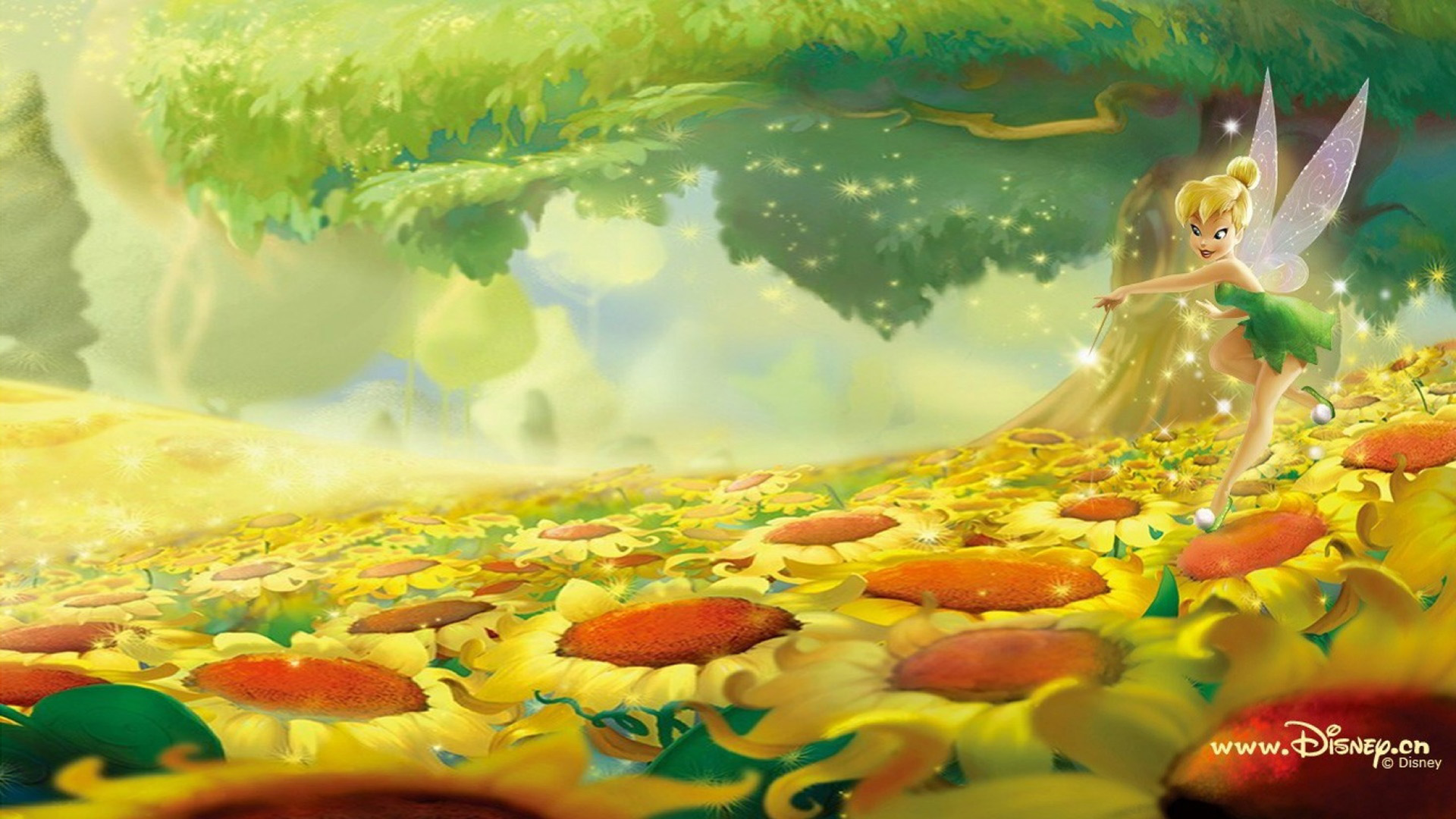 Tinkerbell Background - 1920x1080 Wallpaper - teahub.io