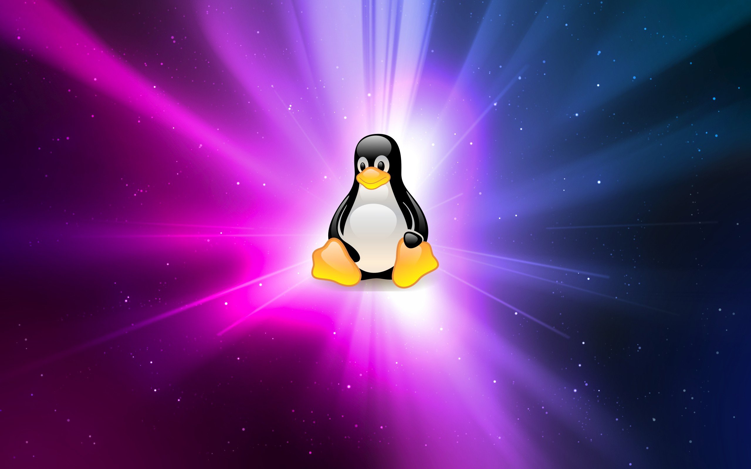 Linux High Resolution - 2560x1600 Wallpaper - teahub.io
